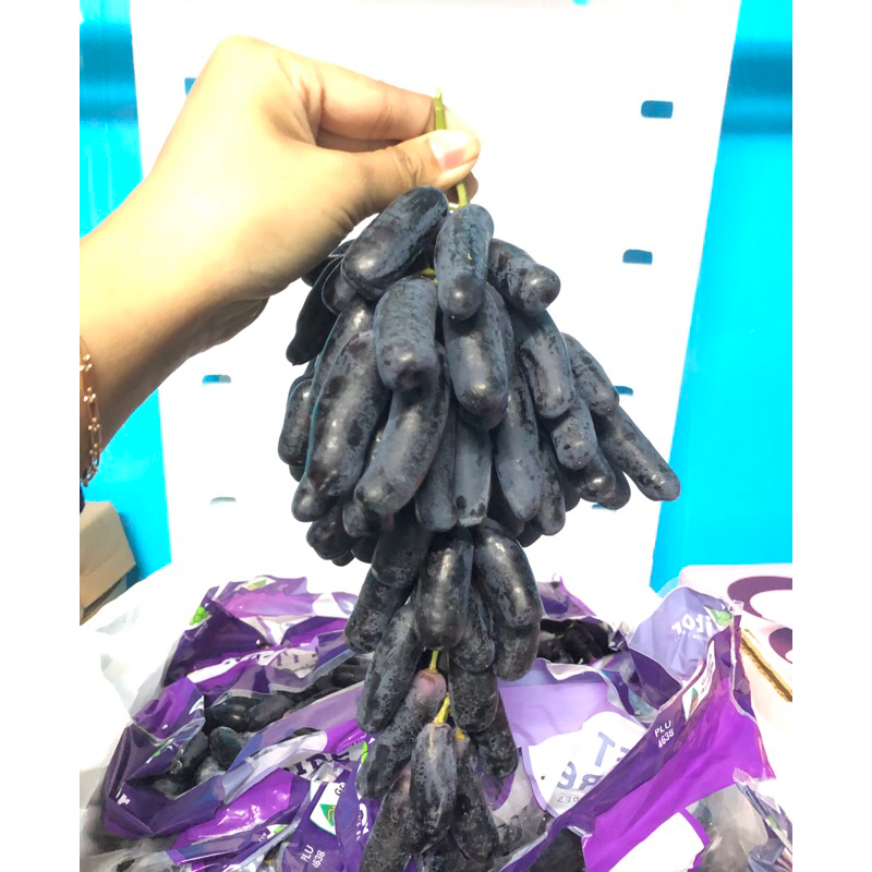 Jual Anggur Sweet Sapphire Aust Kangara Gold /kg | Shopee Indonesia