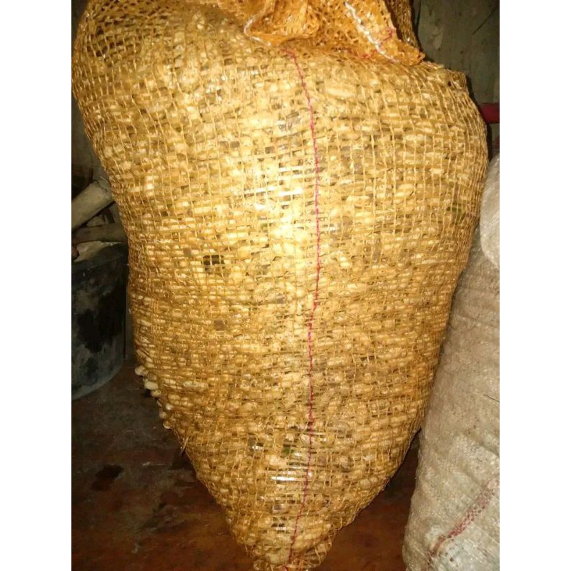 Jual kacang tanah [suuk per 1kg sudah di sortir | Shopee Indonesia