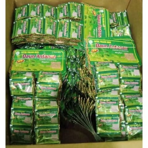 Jual Paket 100 Hanger Kapsul Jamu Daun Antanan Original | Shopee Indonesia