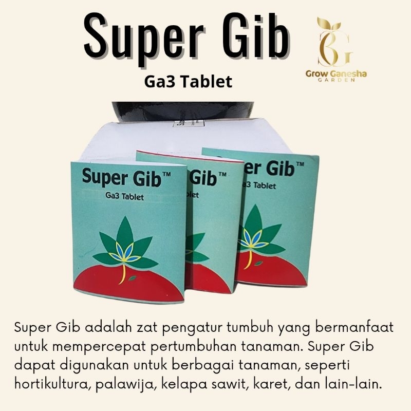 Jual Super gib per box (isi 10 bungkus) | Shopee Indonesia