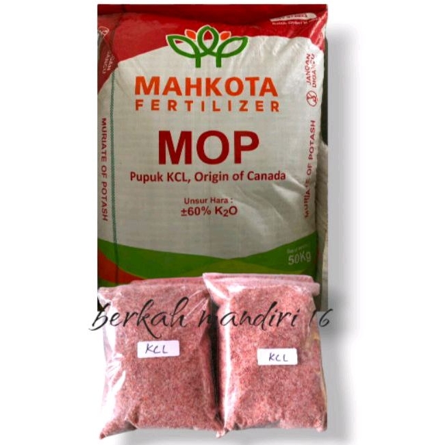 Jual Pupuk KCL Mahkota MOP Canada Kemasan 1kg Repack | Shopee Indonesia