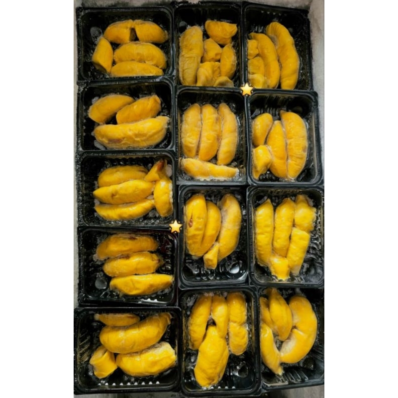Jual DURIAN MUSANGKING ASLI PAHANG MALAYSIA GRADE AAA | Shopee Indonesia