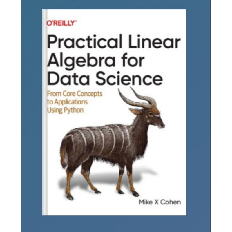 Jual Practical Linear Algebra for Data Science | Shopee Indonesia