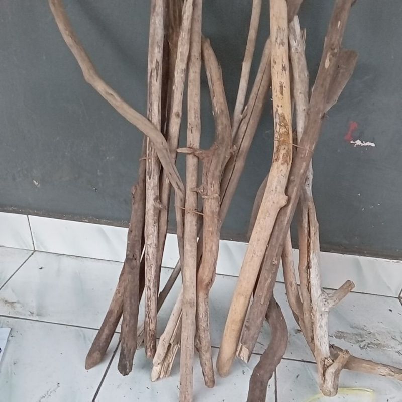 Jual kayu laut/driftwood 5 pc panjang60cm | Shopee Indonesia