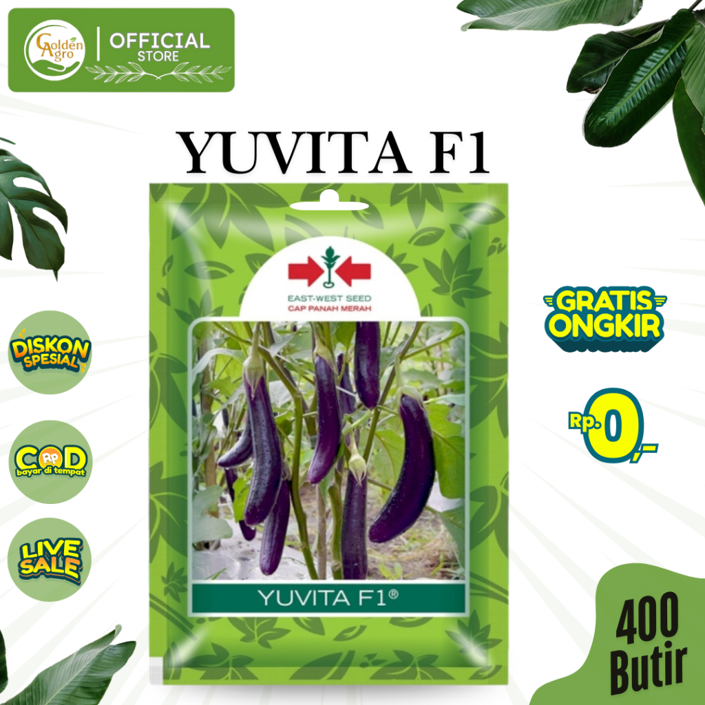 Jual BENIH BIBIT TERONG TERUNG YUVITA F1 PANAH MERAH ANTI VIRUS ISI 400 BUTIR | Shopee Indonesia