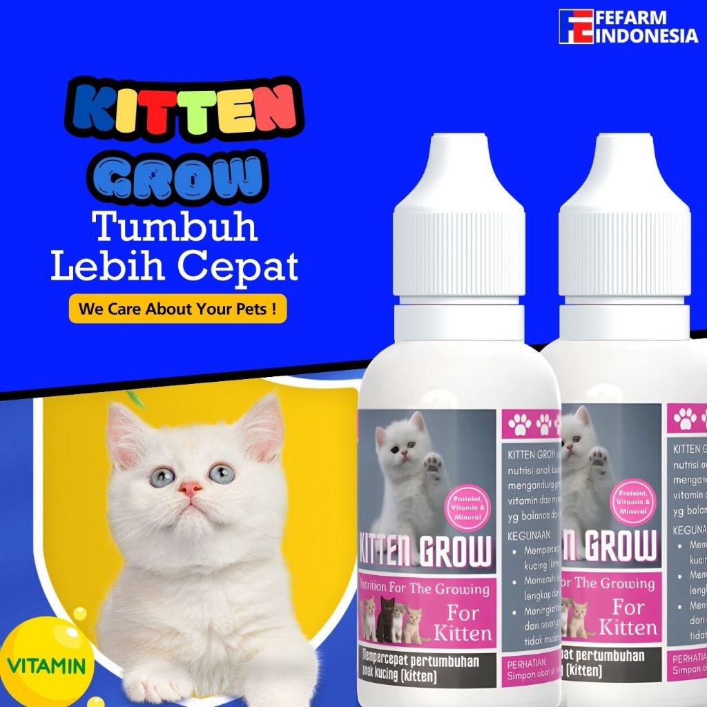 Jual Obat Vitamin Anak Kucing Nutrisi Pertumbuhan Anak Kucing Kitten ...