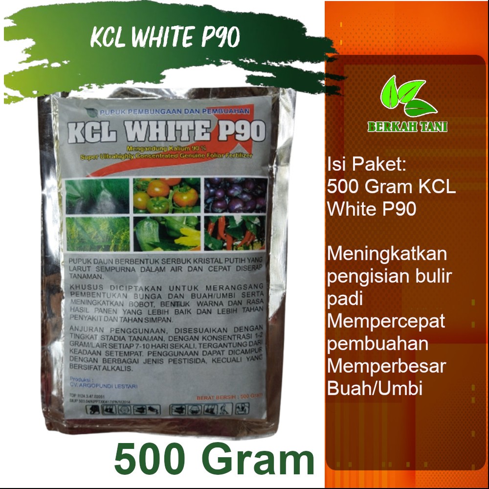 Jual KCL White P90 500 gram Pupuk Daun dan Buah | Shopee Indonesia