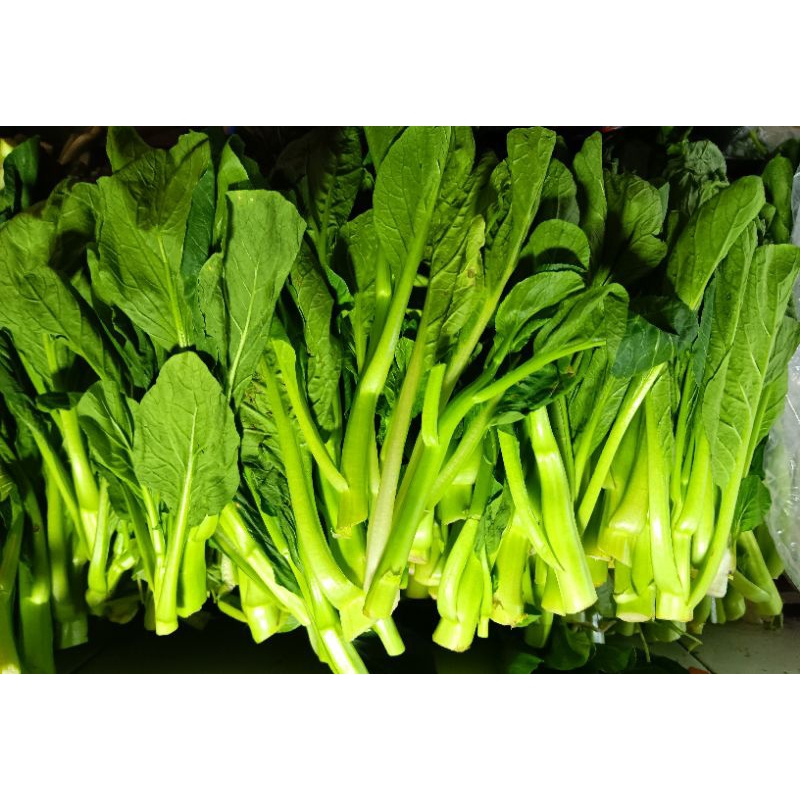 Jual caisim manis segar 500gr | Shopee Indonesia