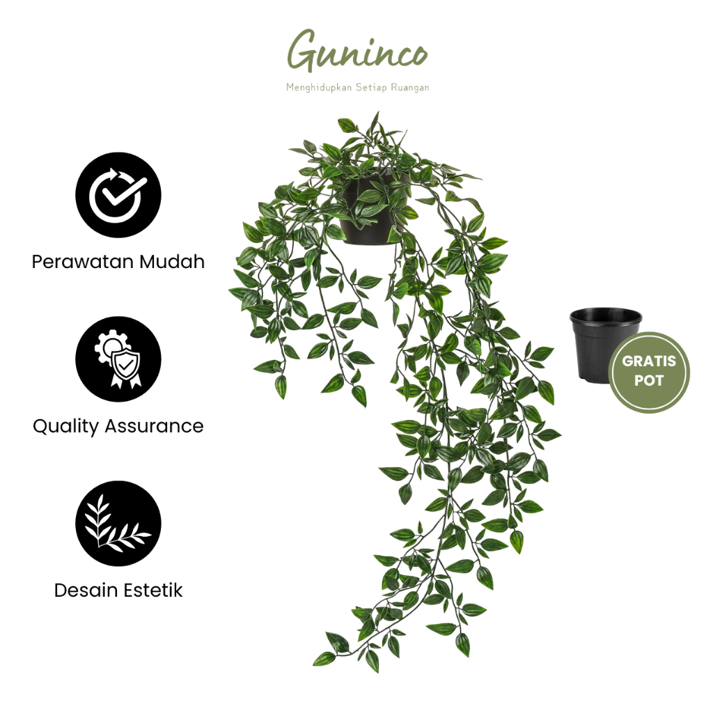 Jual Tanaman Hias Juntai Green Datura Tanaman Gantung Termasuk Pot Daun ...