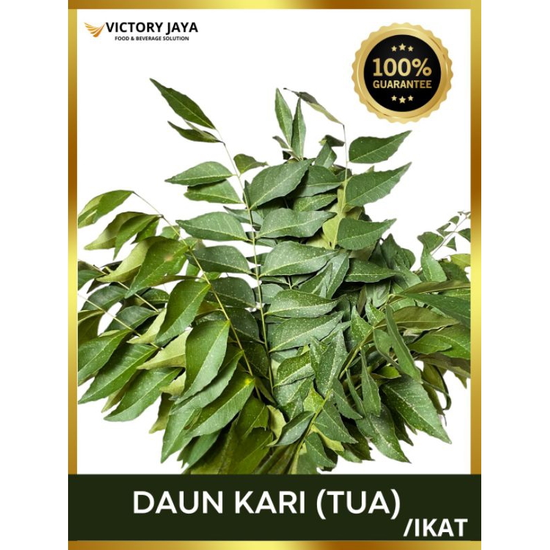 Jual DAUN KARI / SALAM KOJA SEGAR 50gr DIPETIK KETIKA MAU DI KIRIM ...