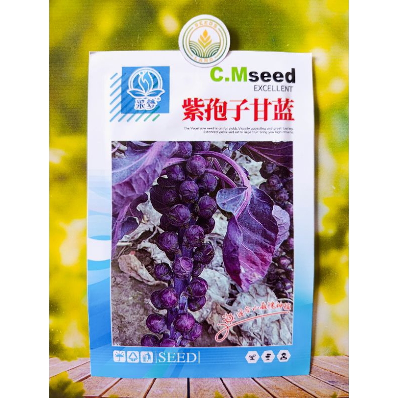 Jual BIJI BENIH KUBIS MINI UNGU/ PURPLE BRUSSEL IMPOR KEMASAN ORIGINAL ...