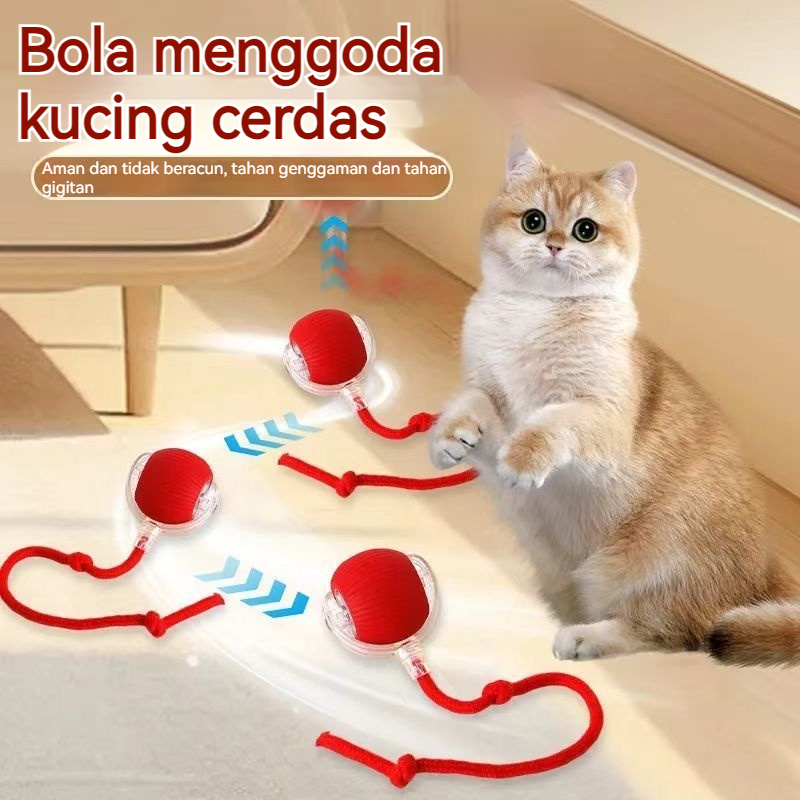 Jual Mainan kucing bola bergerak Listrik Bergulir Cerdas LED Laser Bola ...