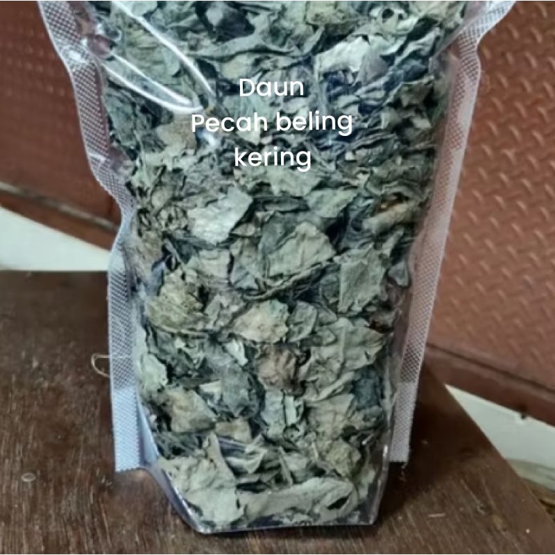 Jual Daun Keji Beling Kering 100gr Daun Pecah Beling | Shopee Indonesia