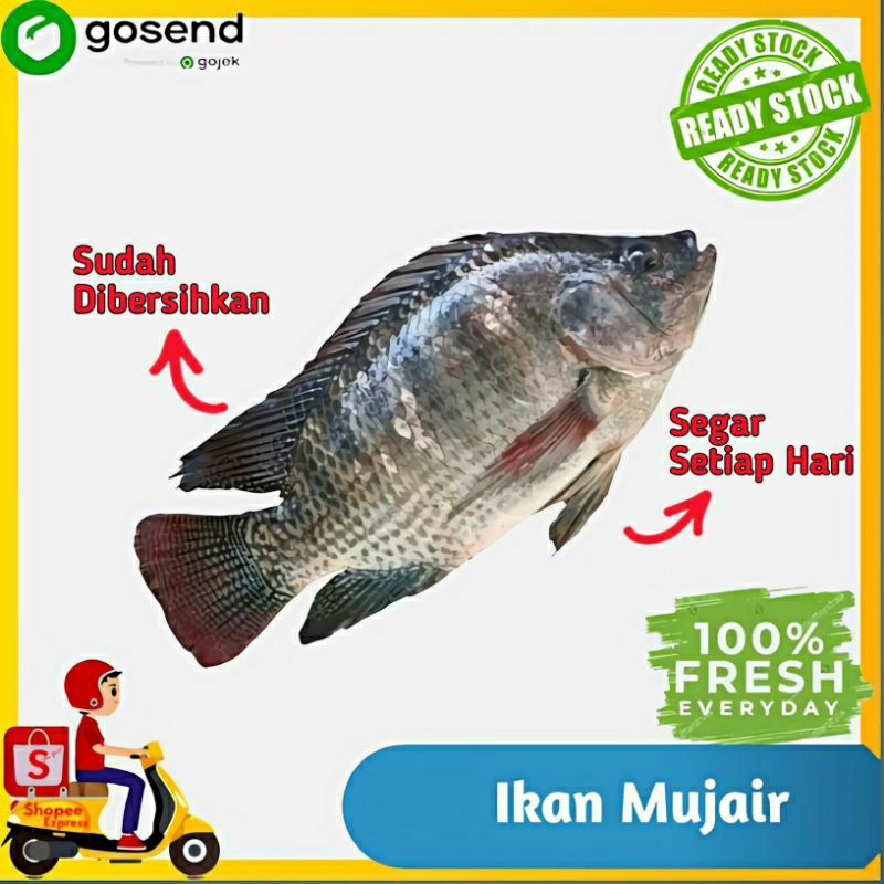 Jual Ikan Mujair - Ikan Segar fresh - Sayur Segar | Shopee Indonesia