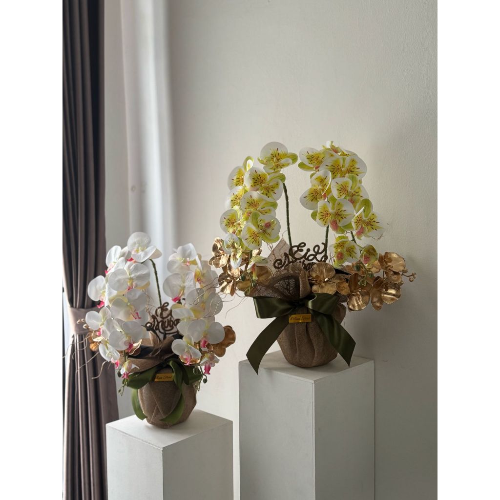 Jual Eid Orchid: Keanggunan yang Membawa Berkah di Hari Raya | Shopee ...