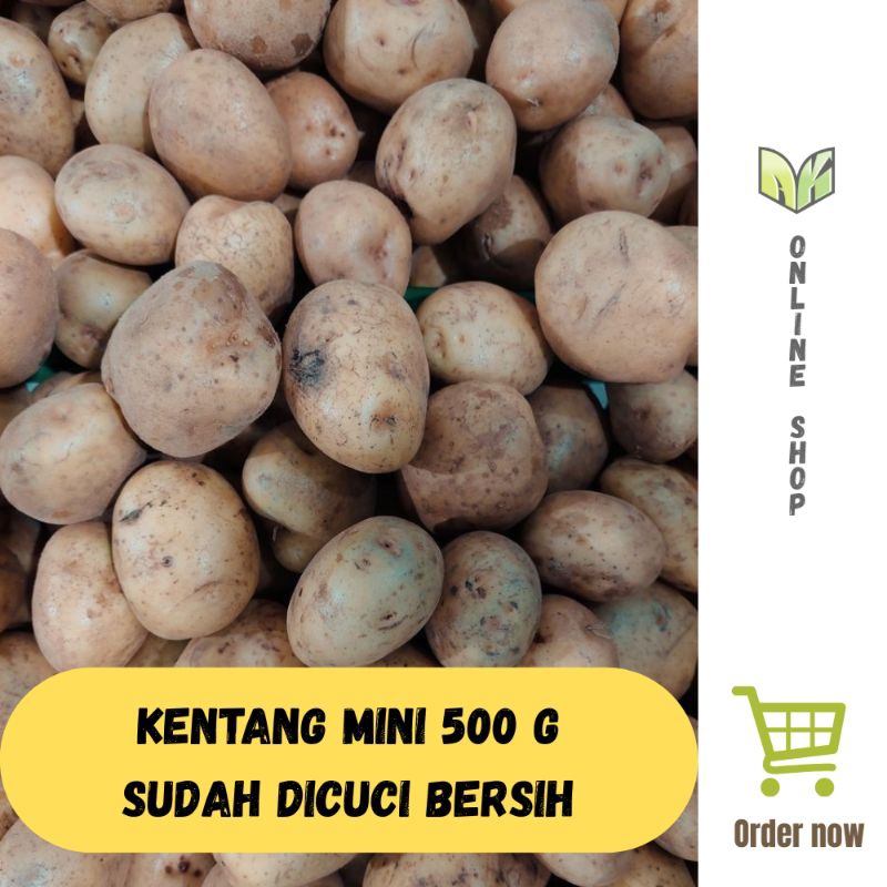 Jual Kentang Mini 500 g | Shopee Indonesia
