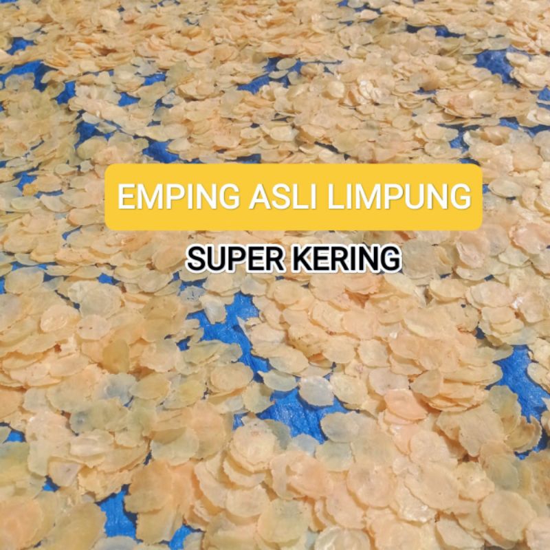 Jual EMPING SUPER MELINJO SIZE KECIL EXPORT QUALITY ASLI KHAS LIMPUNG ...