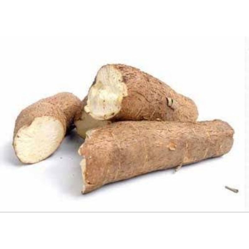 Jual Ubi Kayu Roti / Singkong | Shopee Indonesia