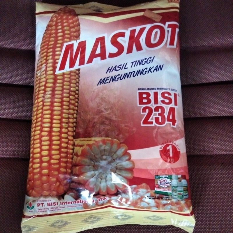Jual Benih jagung hibrida MASKOT 234. (1kg) | Shopee Indonesia