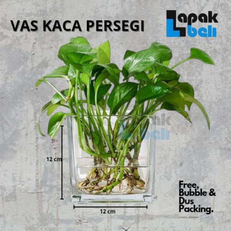 Jual VAS KACA KOTAK 12 x 12 CM / VAS PERSEGI / VAS KACA ESTETIK / VAS ...