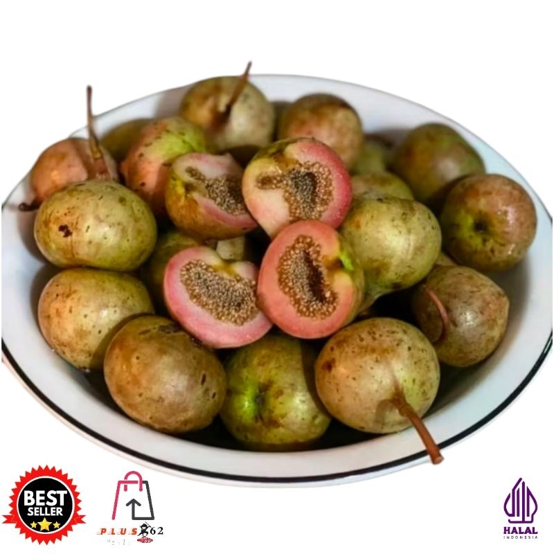 Jual Buah Loa Buah Segar-Buah Bahan Rujak Hemat Petik Dadak Organik ...