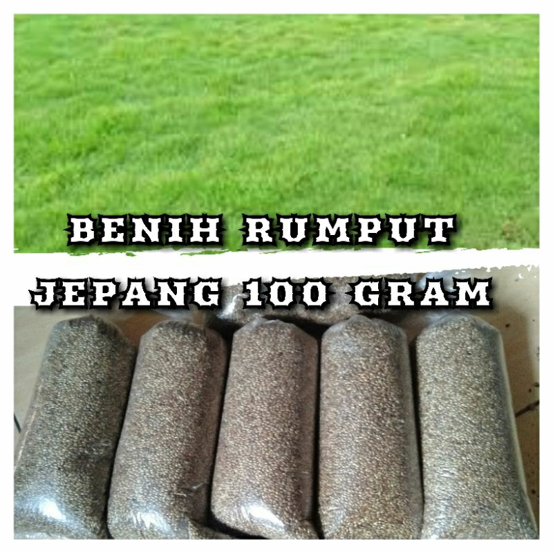 Jual 100 Gram Benih Rumput Jepang | Shopee Indonesia