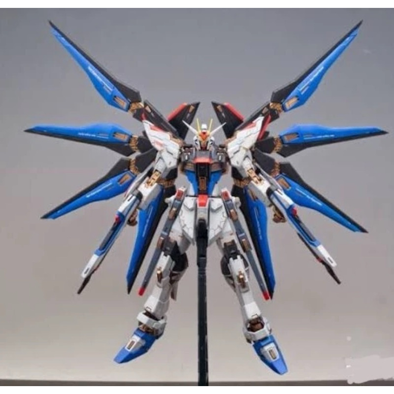 Jual Original Made In Japan MG Master Grade 1/100 Strike Freedom ...