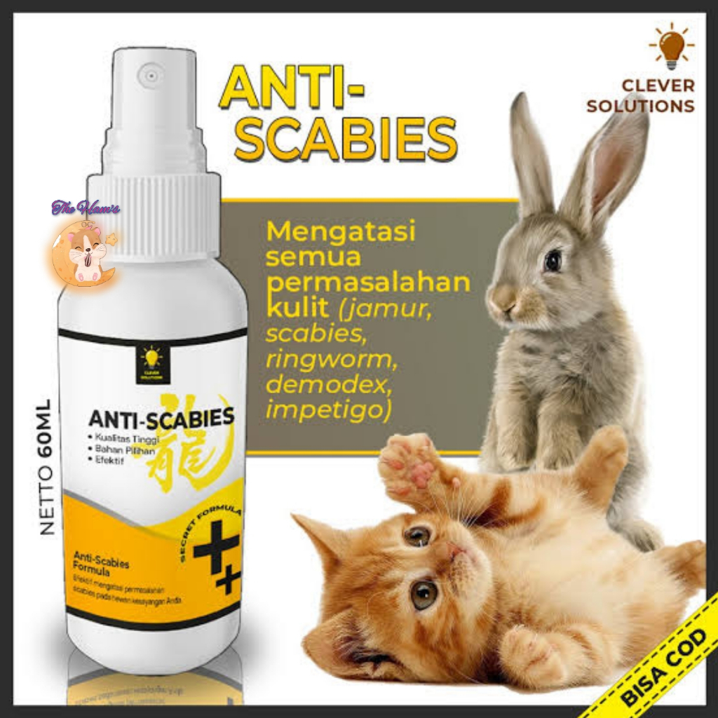 Jual (The Ham's) ANTI SCABIES Clever Solution Obat Scabies Jamur ...
