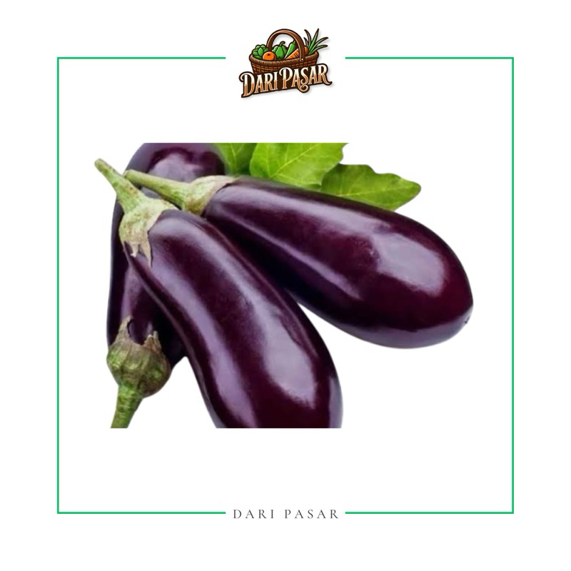 Jual Terong Ungu Fresh 500gr dan 1000gr | Shopee Indonesia