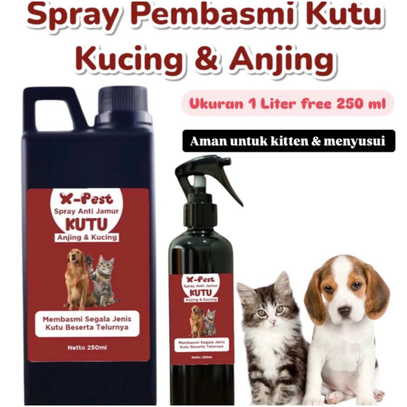 Jual Spray Pengusir Kutu Kucing dan Anjing 1 Liter Free 250 ML Tungau ...