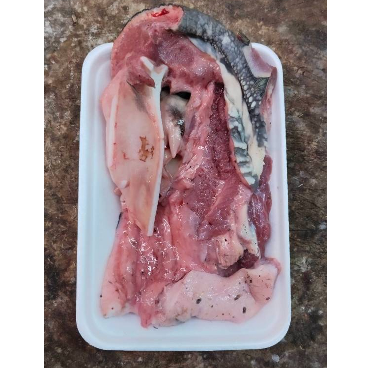 Jual Moncong Sapi Lokal/Hidung Sapi Lokal Fresh 500gr - 1kg | Shopee ...