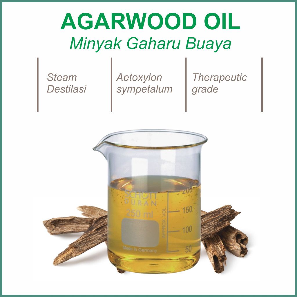 Jual minyak gaharu buaya kalimantan kayu murni agarwood oil essential esensial atsiri 10ml 30ml ...