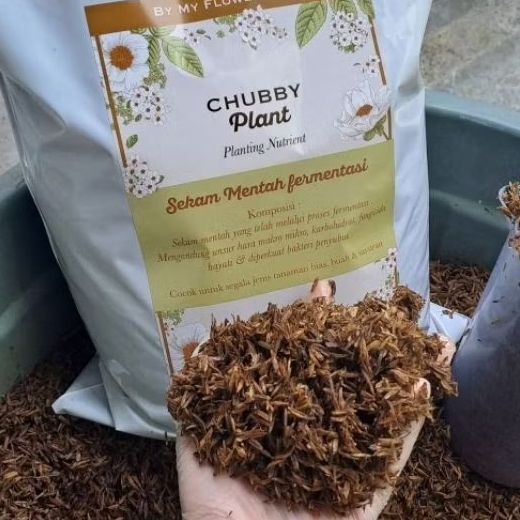 Jual chubby plant media tanaman sekam fermentasi premium black soil ...