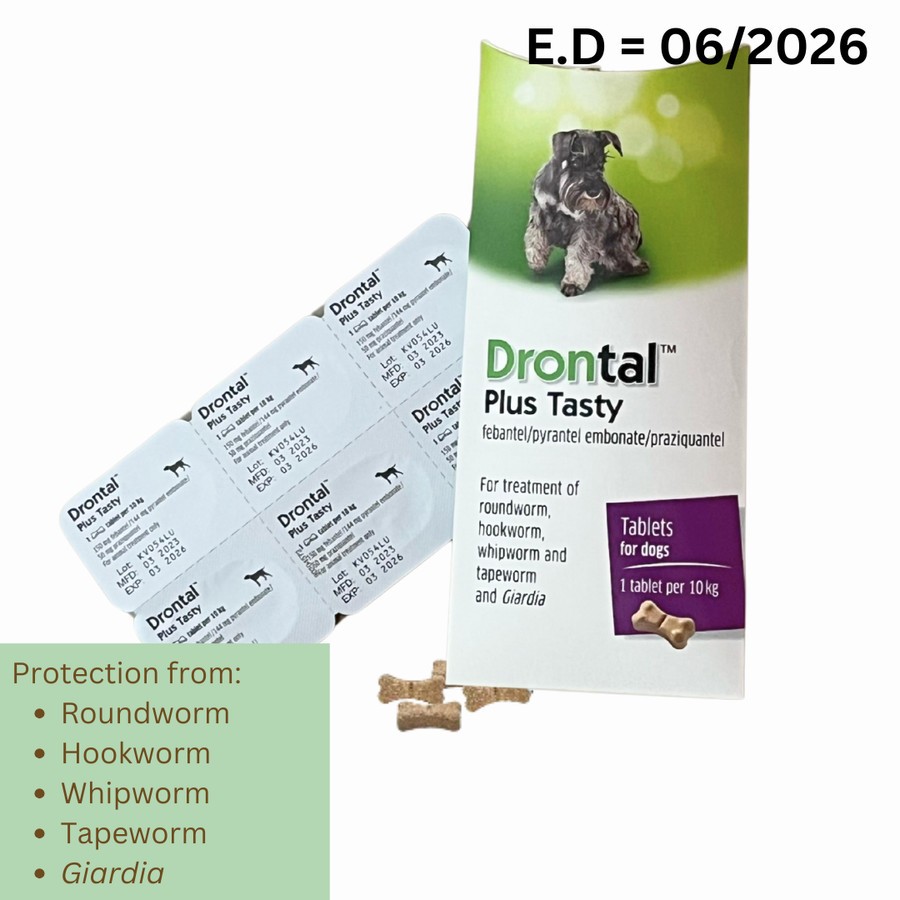Jual DRONTAL Obat Cacing Anjing Plus Tasty Roundworm Hookworm Whipworm ...