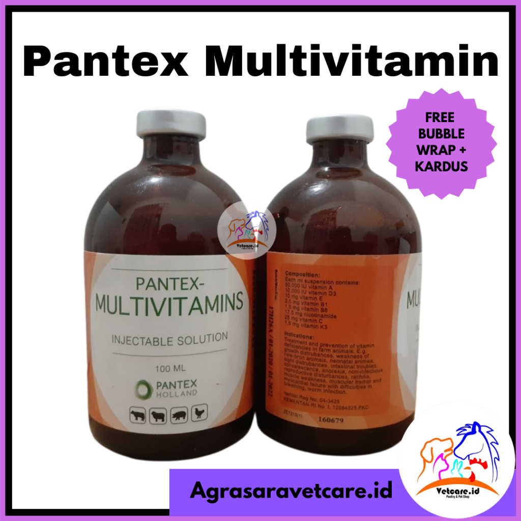 Jual Pantex multivitamins injeksi 100ml | Shopee Indonesia