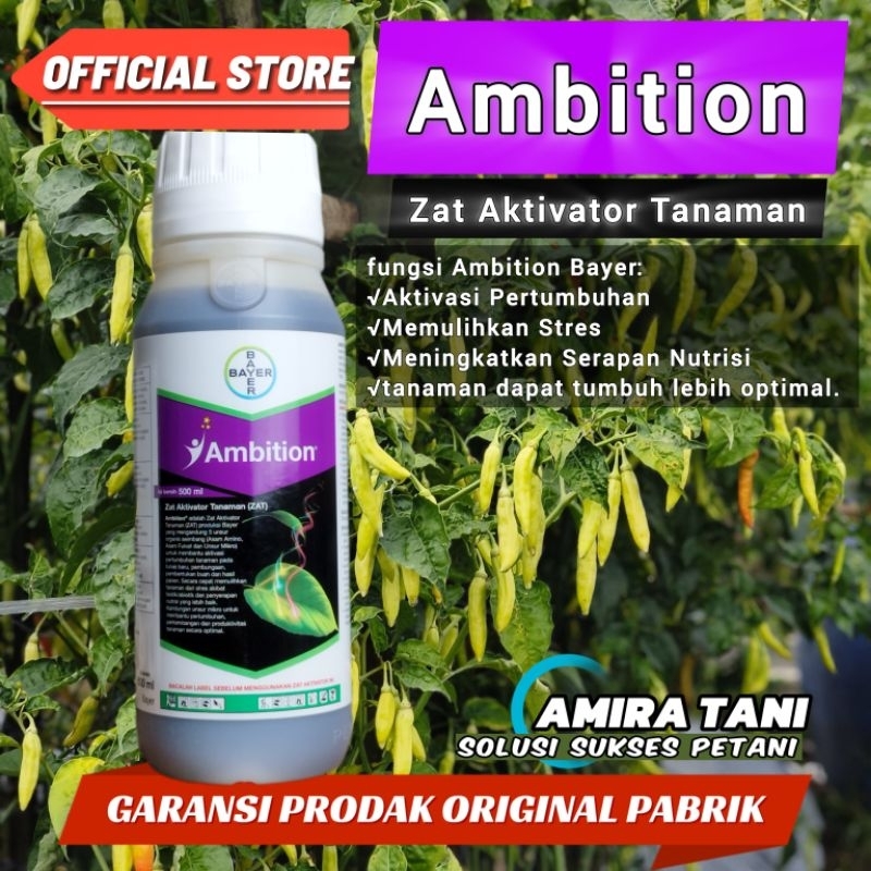 Jual Ambition 500 ml zat aktifator tanaman | Shopee Indonesia