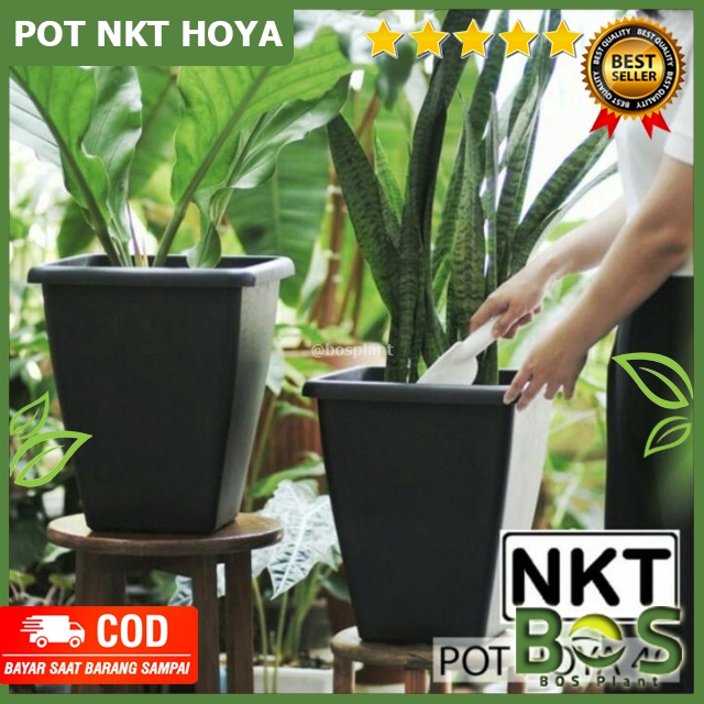 Jual Bosplant - Pot NKT Hoya 40 cm Pot Tinggi POT NKT Warna Hitam Pot ...