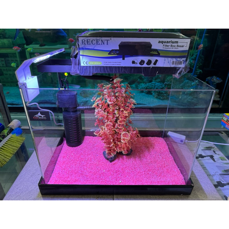 Jual (cargo termasuk extra paking+garansi refund)aquarium banding ...