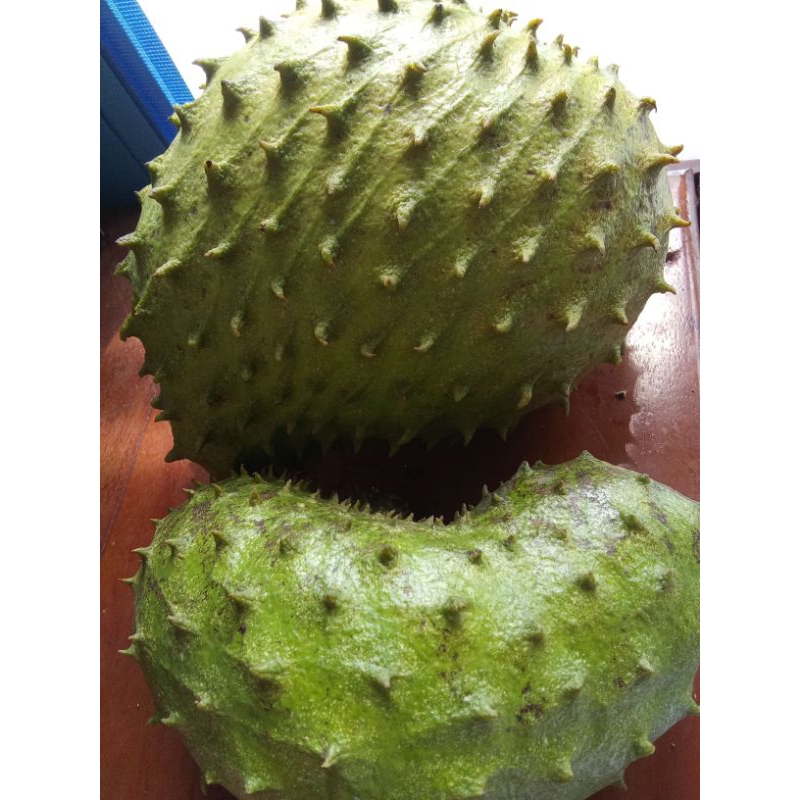 Jual Fresh Buah Sirsak / Sirsat 1kg | Shopee Indonesia