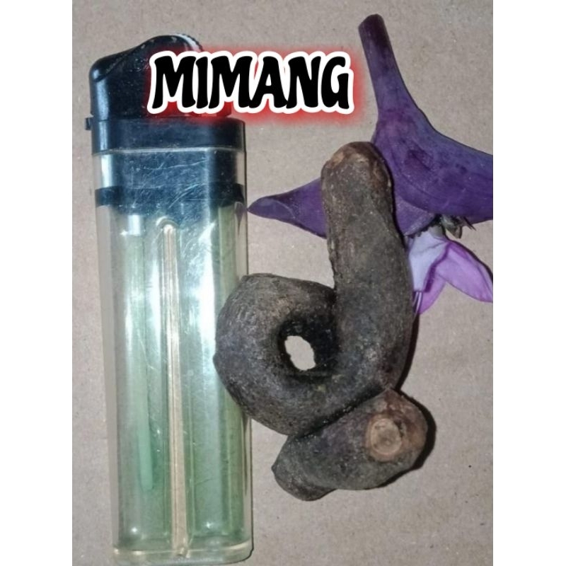 Jual Liontin Kayu MIMANG Original Alami | Shopee Indonesia