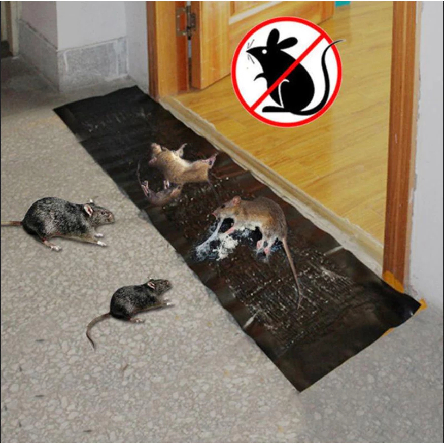 Jual Sticker Lem Perangkap Tikus Hama Ampuh Kecil Ukuran 60cm Jebakan ...