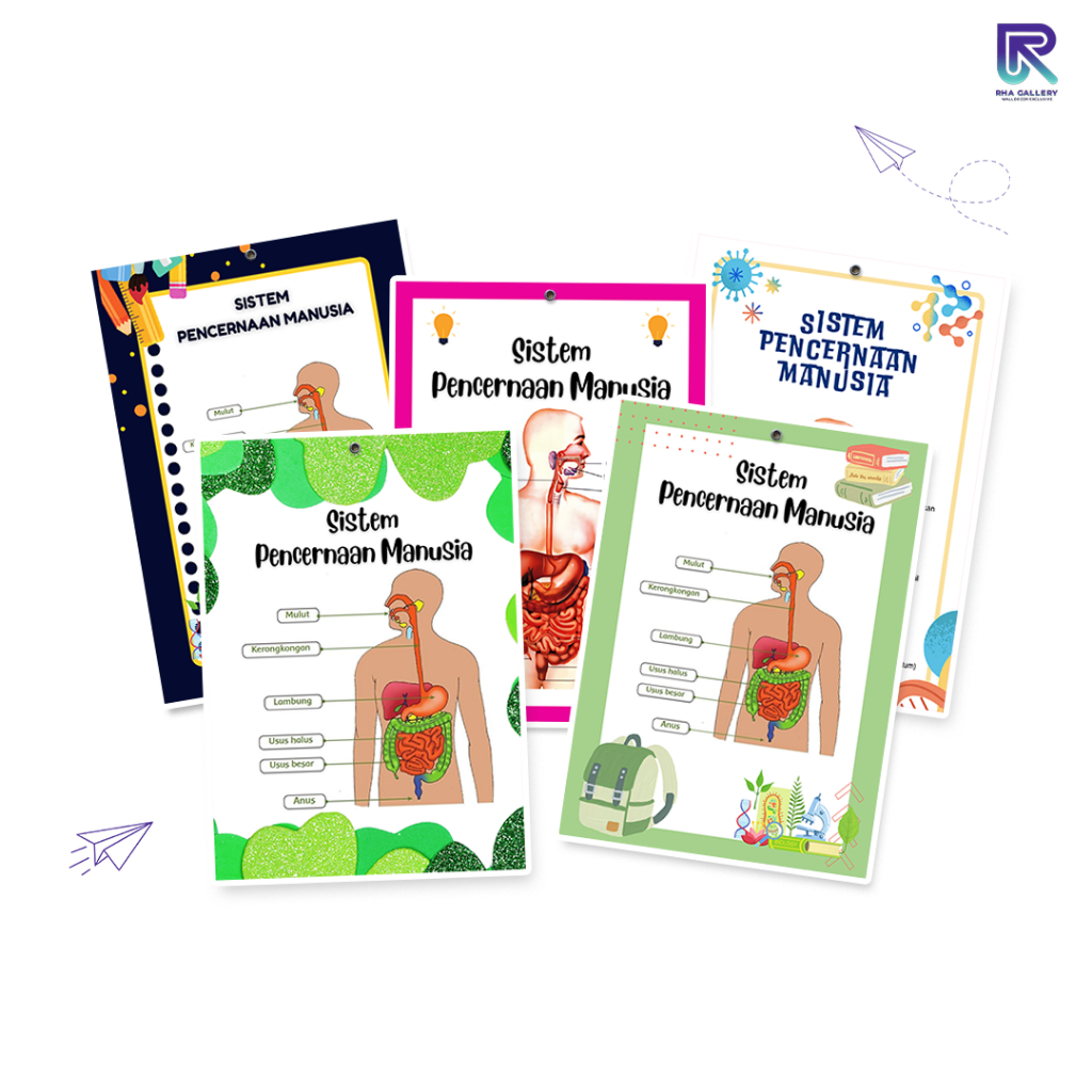 Jual RHA GALLERY Poster Sistem Pencernaan Manusia Pajangan Sekolah Edukasi Kesehatan Dekorasi ...