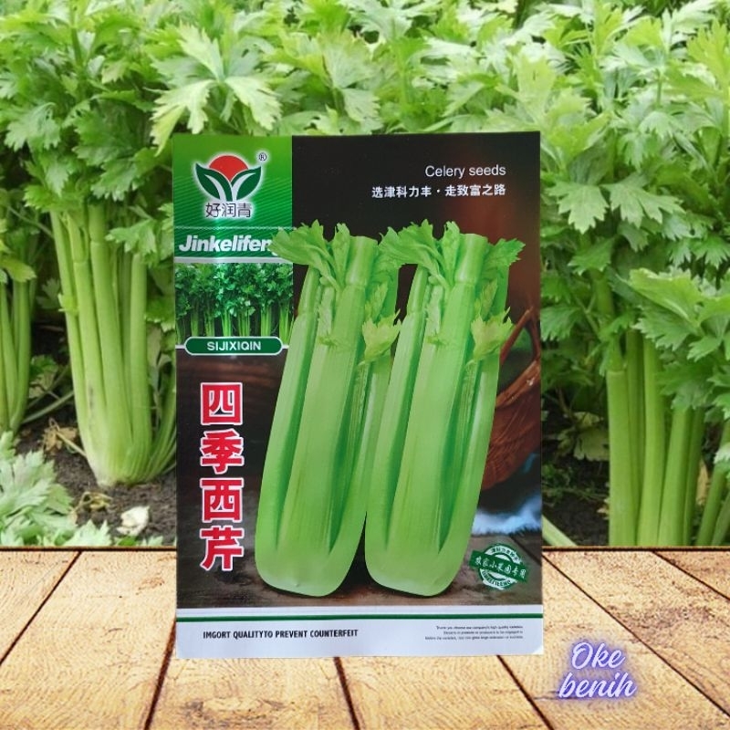 Jual KEMASAN ORIGINAL 5 GRAM BENIH SELEDRI BATANG BESAR IMPORT | Shopee ...