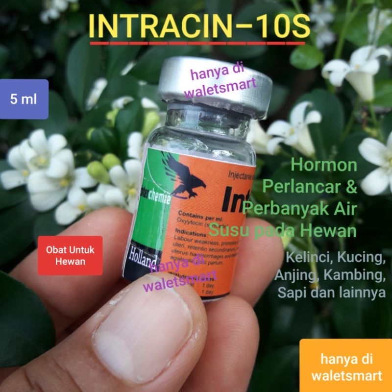 Jual INTRACIN-10s Hormon Kontraksi Uterus & Kelenjar Mamae pada Hewan ...