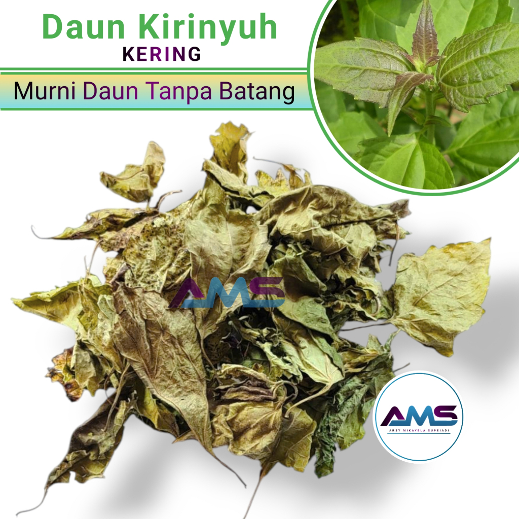 Jual Daun Kirinyuh Kering 500 Gram Murni Daun Tanpa Batang | Shopee ...