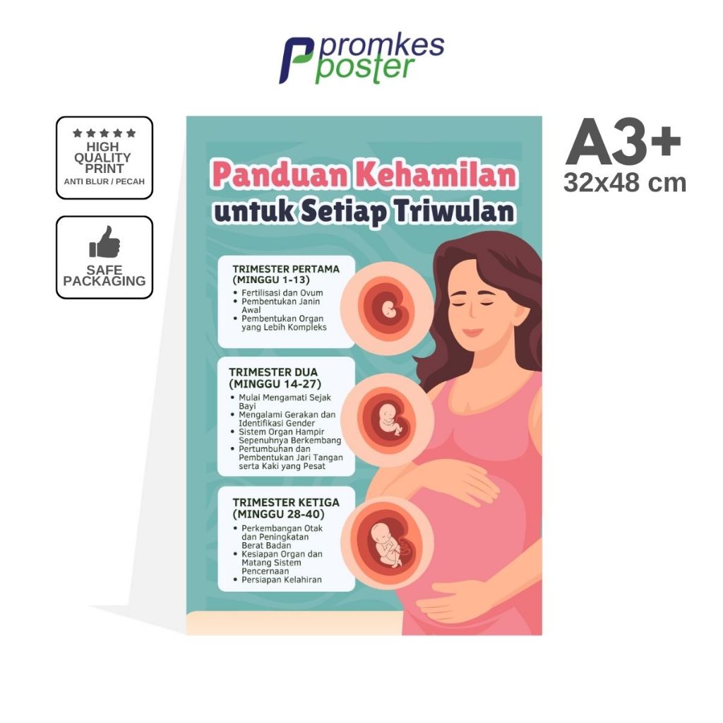 Jual Poster Kebidanan Panduan Kehamilan untuk Setiap Triwulan | Shopee Indonesia
