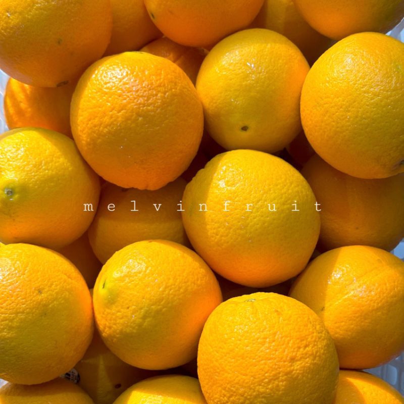 Jual Jeruk Navel fresh | Shopee Indonesia