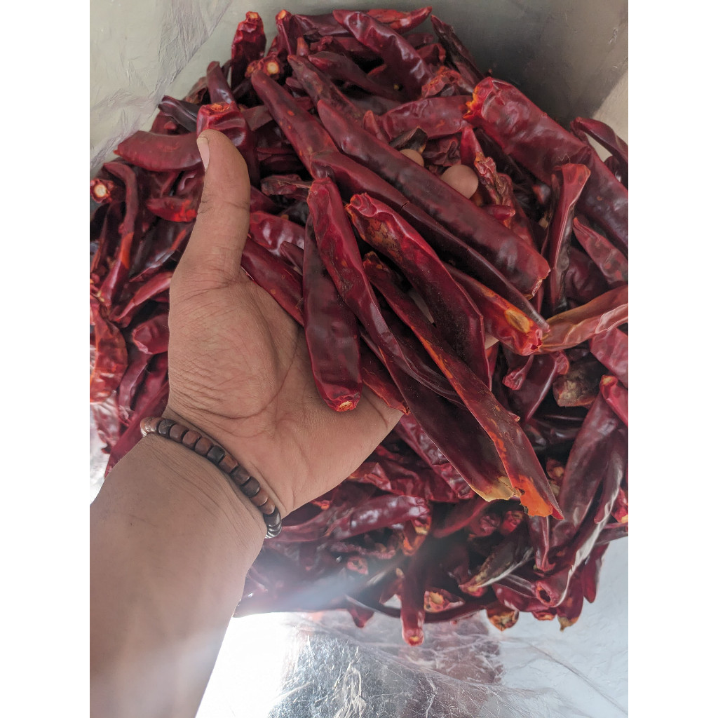 Jual CABE BESAR WONDERHOT KERING TIDAK PEDAS BERSIH TANPA TANGKAI ...
