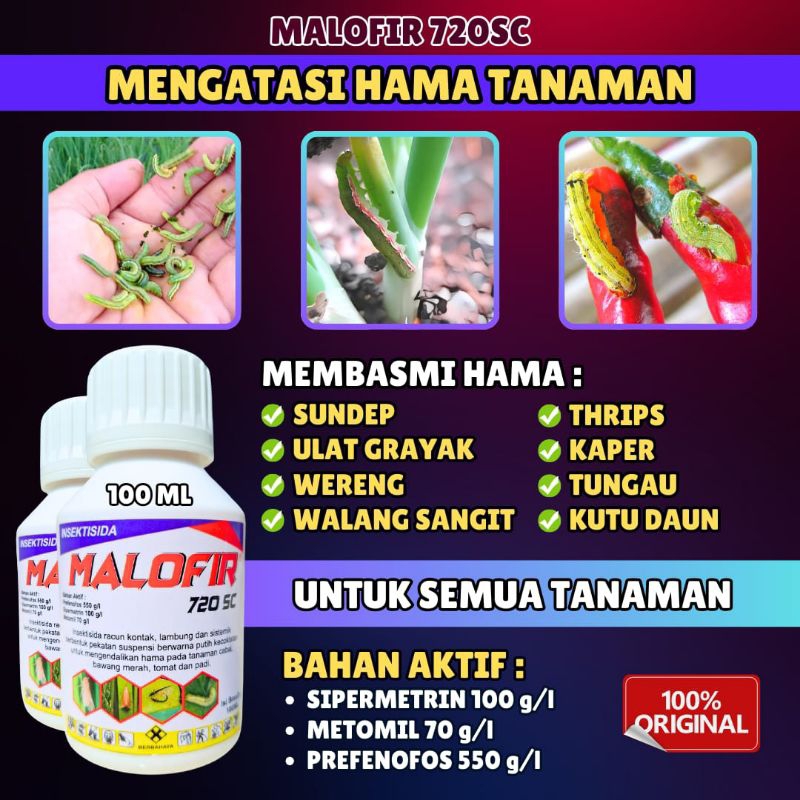 Jual INSEKTISIDA SISTEMIK, SOLUSI PETANI MENGATASI HAMA SUNDEP,ULAT ...