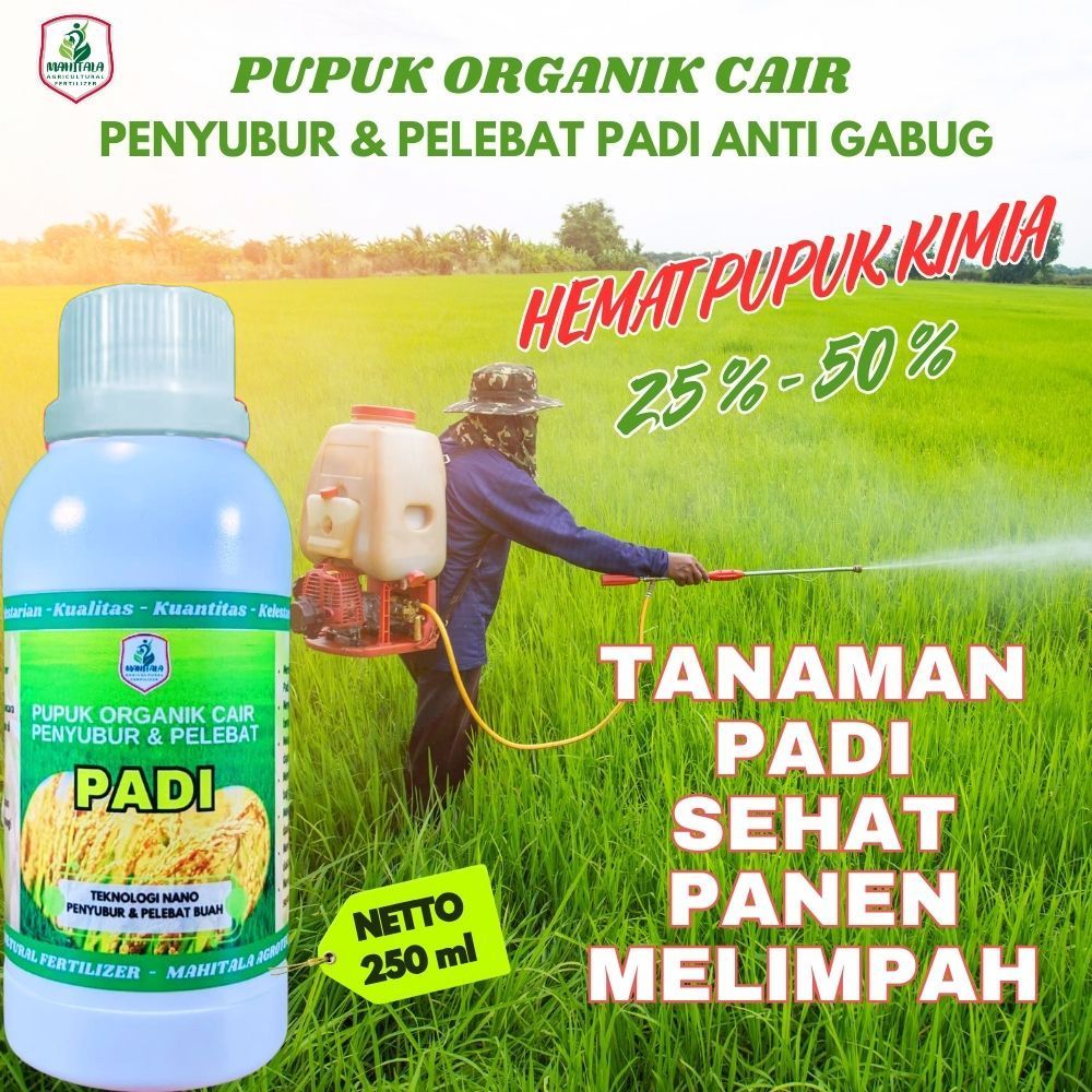 Jual Pupuk Padi Obat Pelebat Padi Pupuk Penyubur Akar Batang Daun Pupuk ...